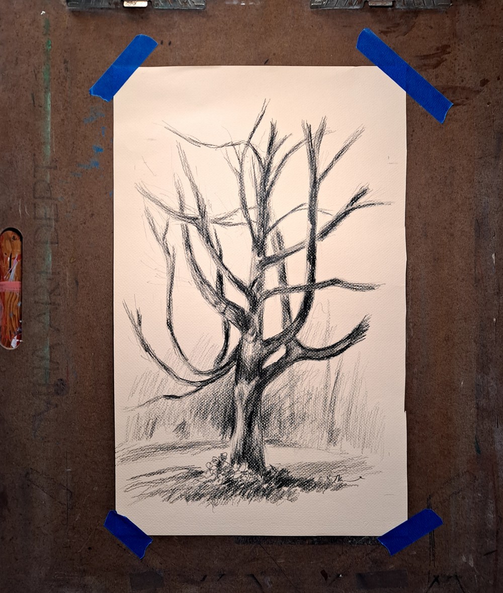 Drawing trees | my90acres