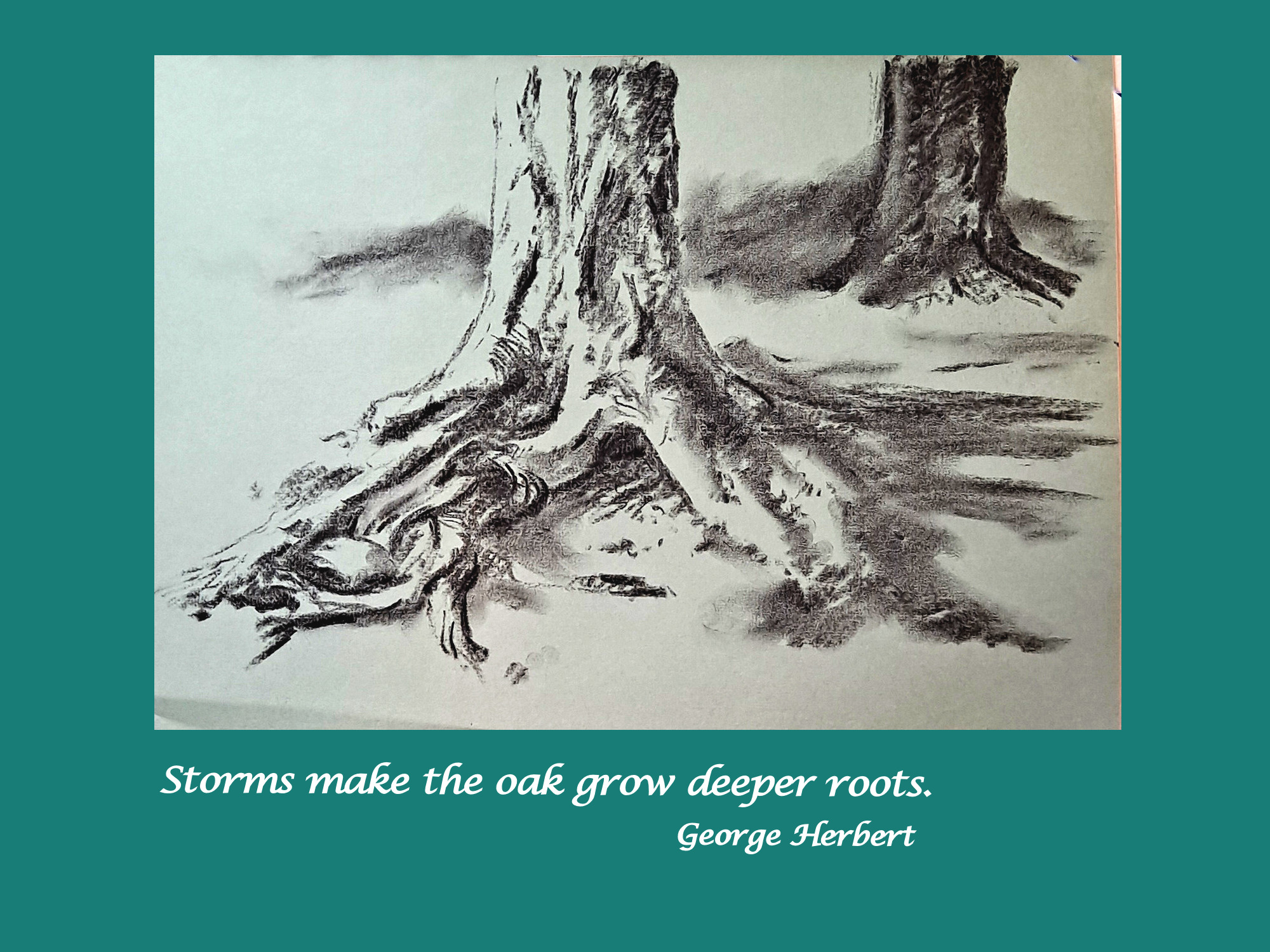 Deeper roots | my90acres