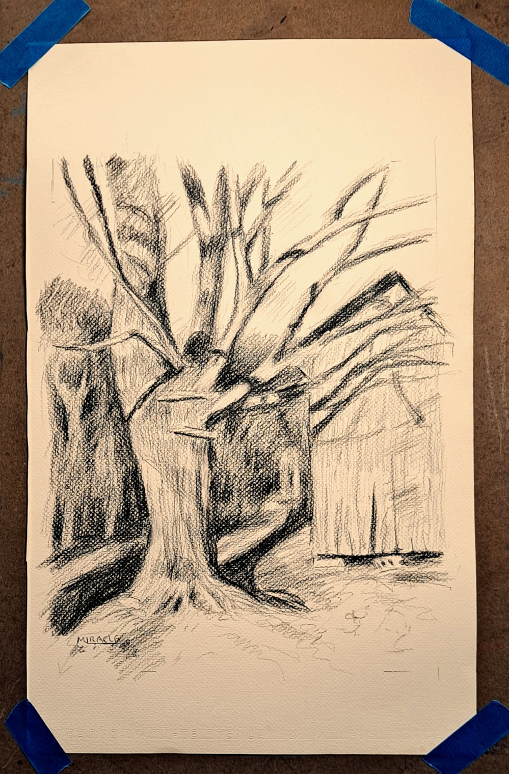 Drawing trees | my90acres