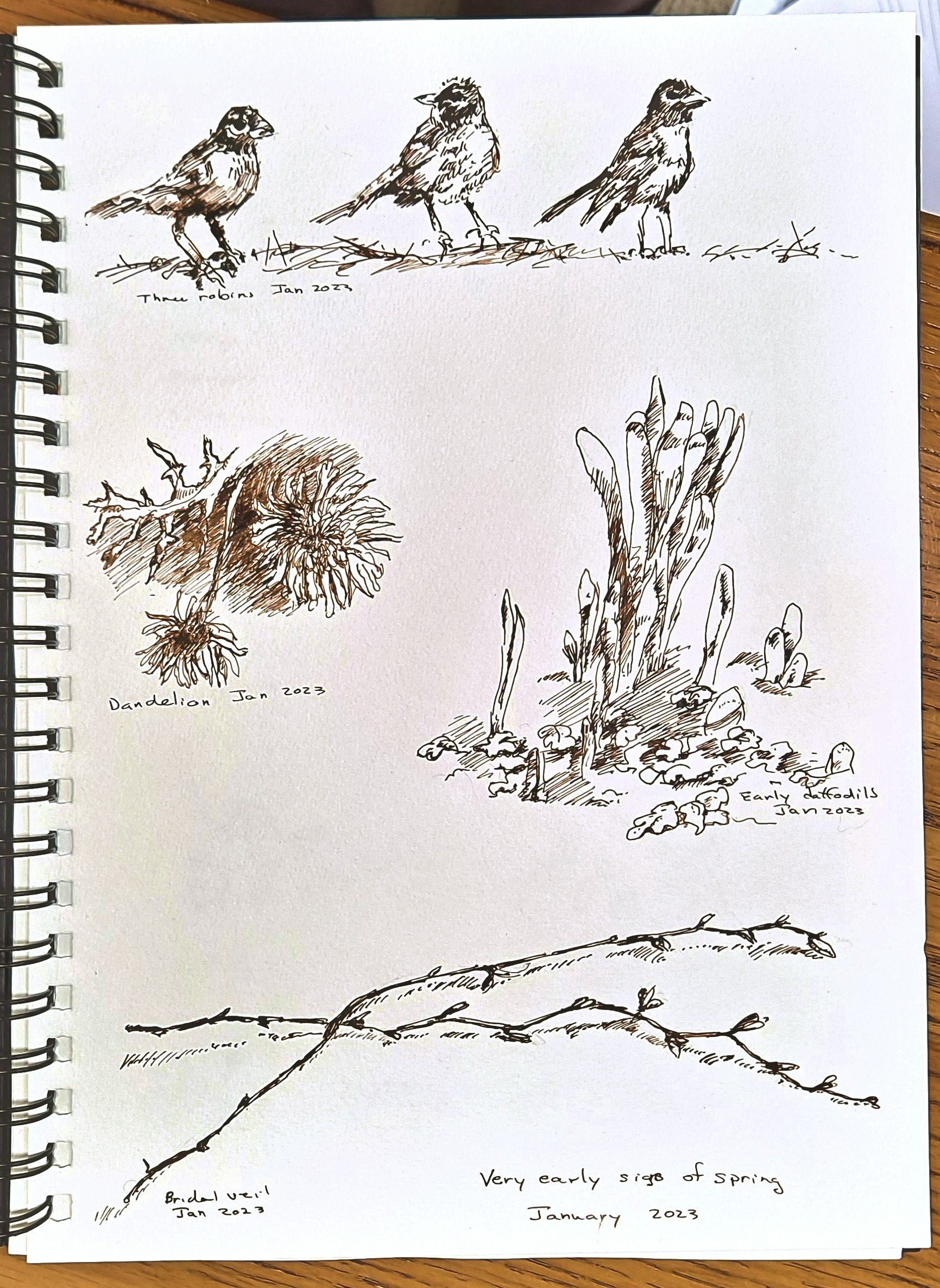 Early signs of spring | my90acres