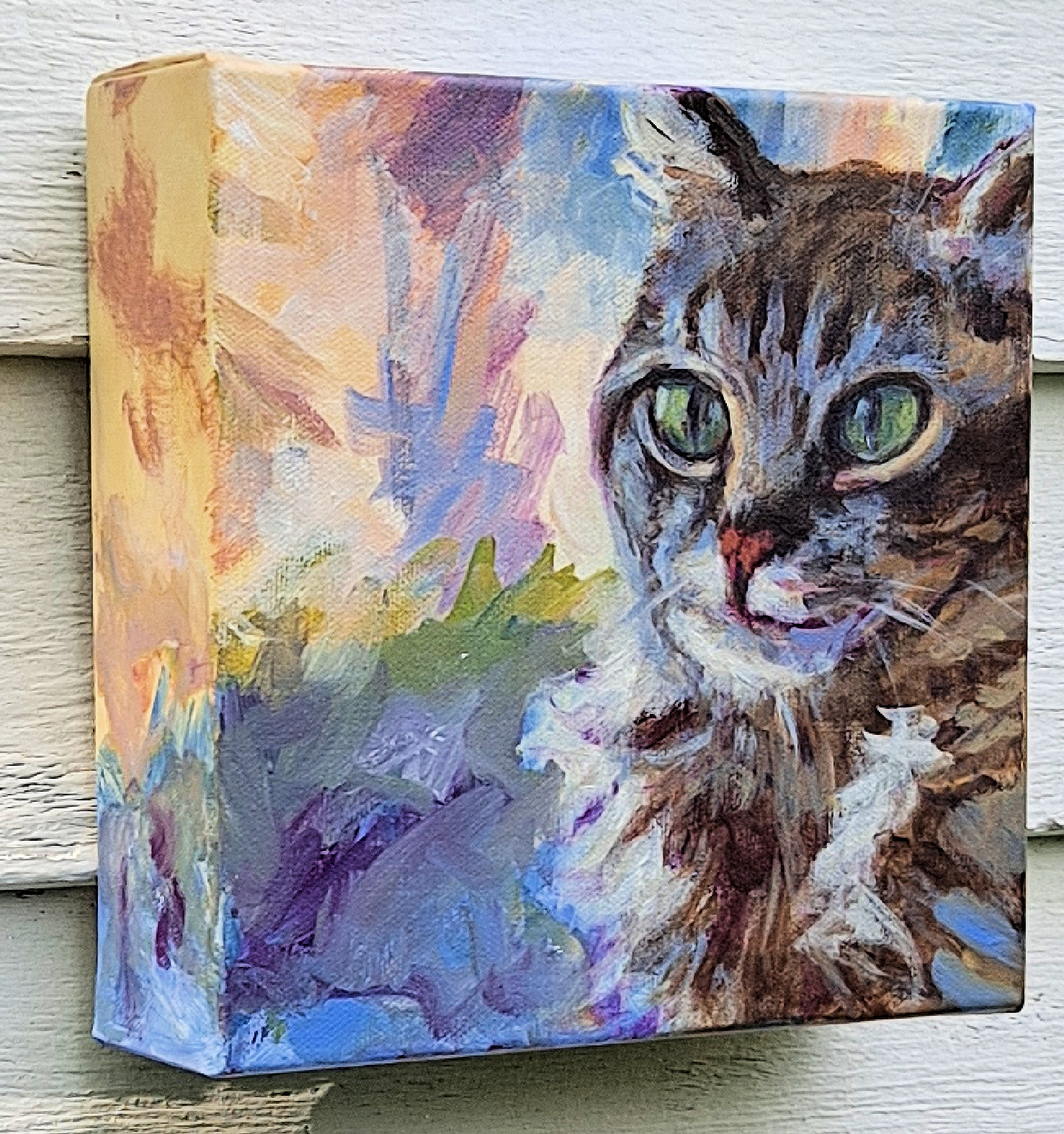 More glam cats | my90acres