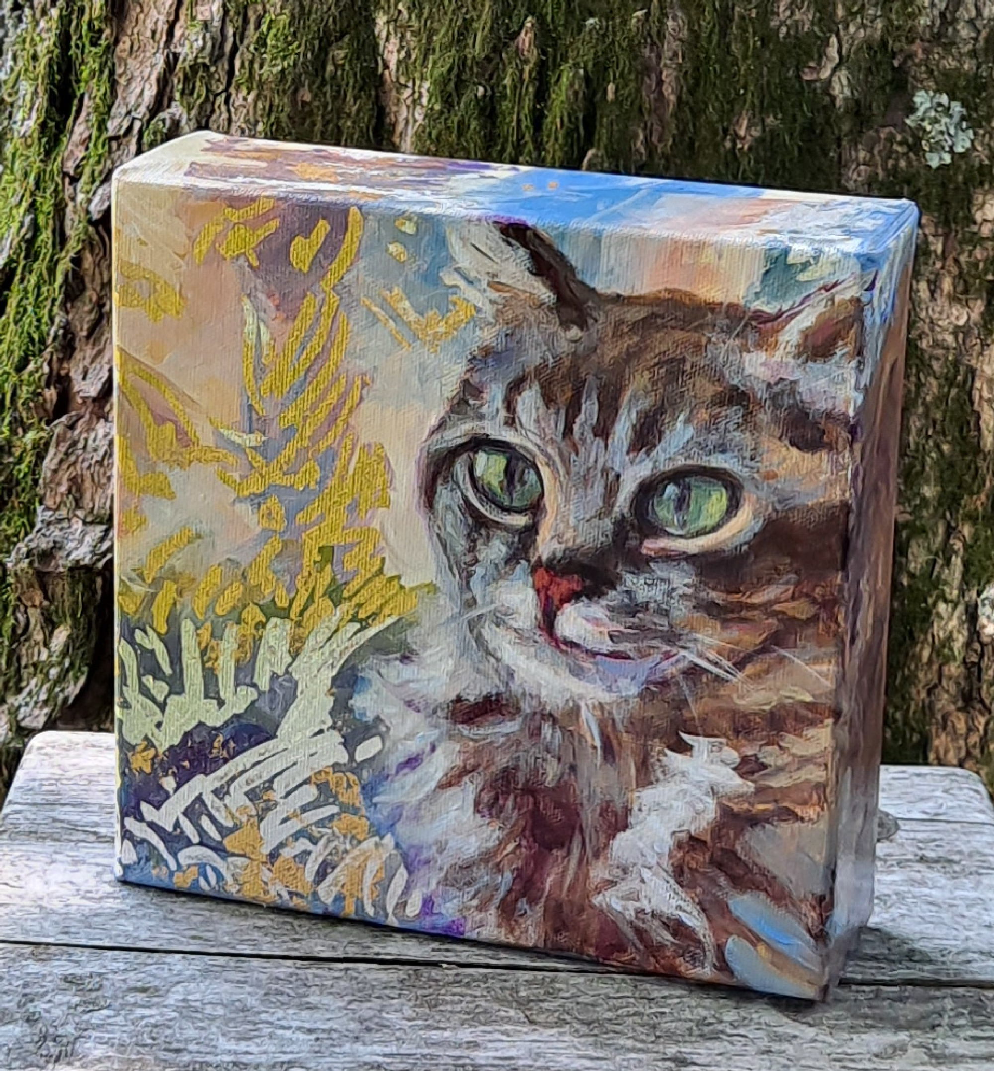 More glam cats | my90acres