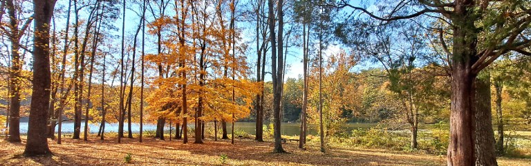 my90acres | Art. Books. Country Living