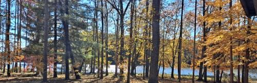 my90acres | Art. Books. Country Living